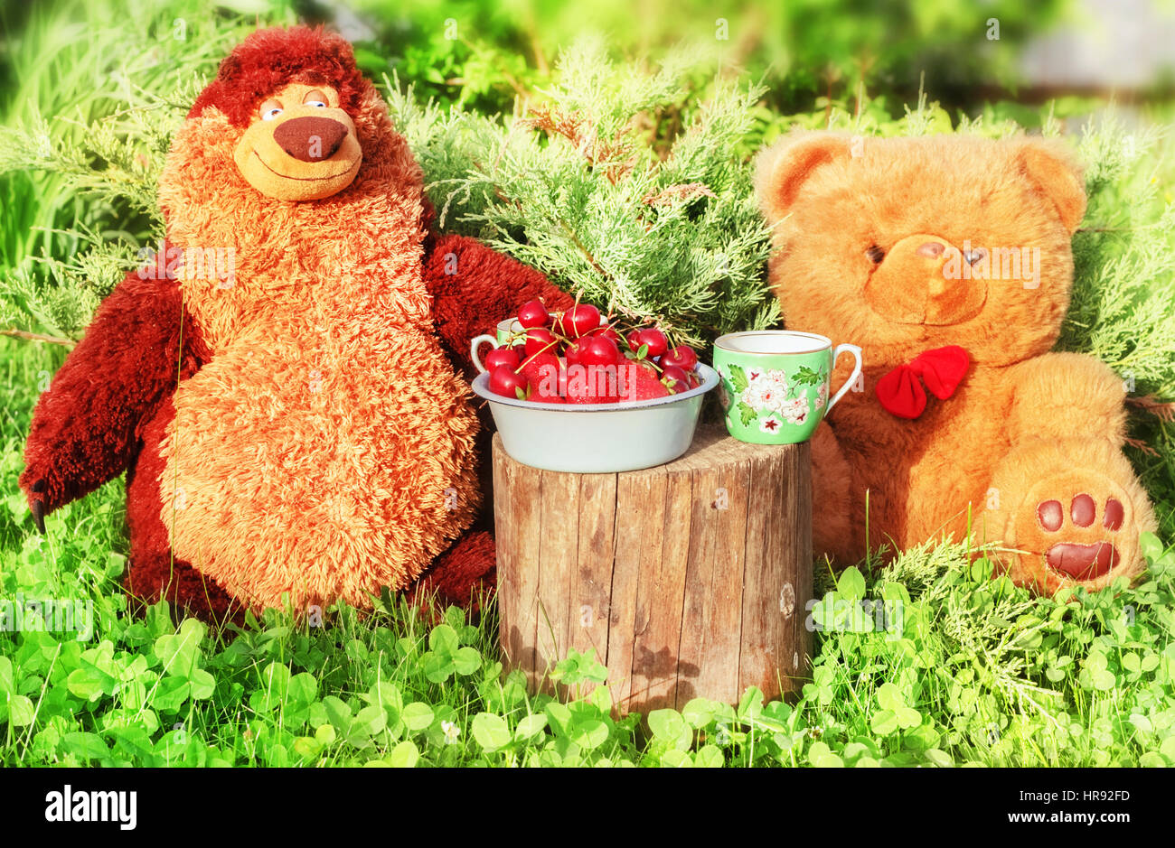 Toy bears on picnic in green grass with berries Stock Photo - Alamy