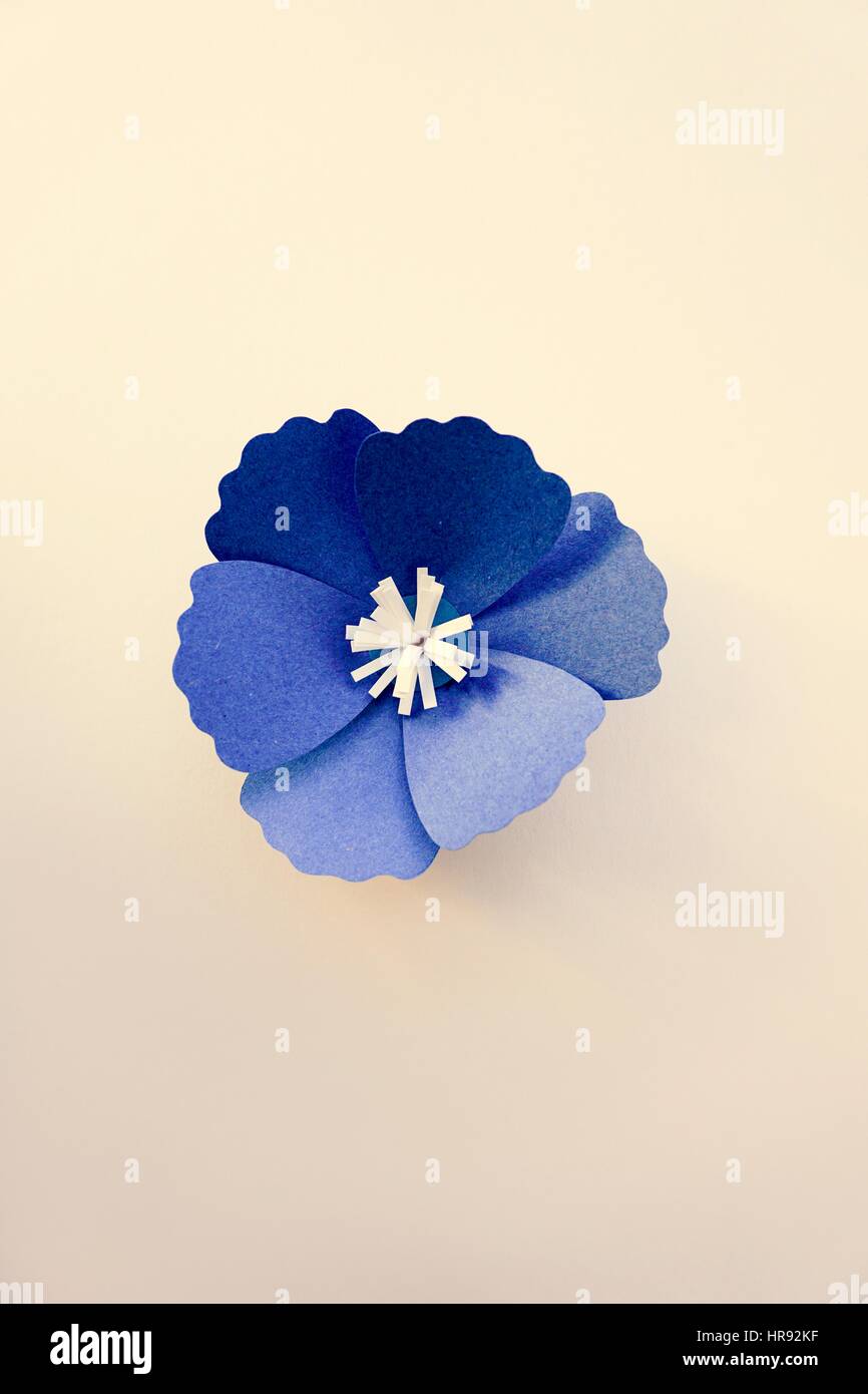 Handmade Papercraft Flowers Isolated Art Stock Photo - Alamy