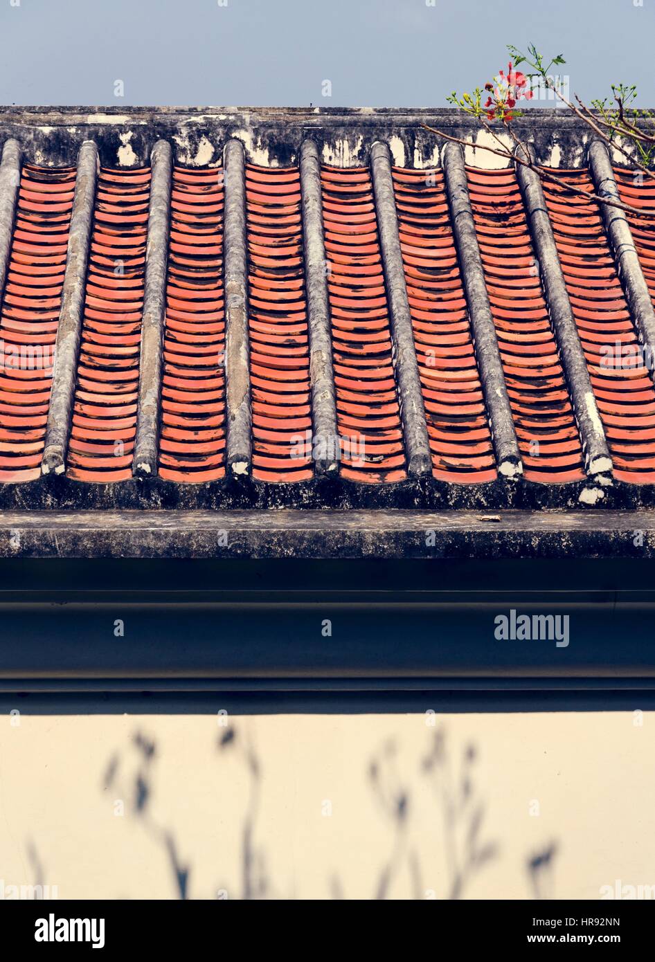 Roof of branches hi-res stock photography and images - Alamy