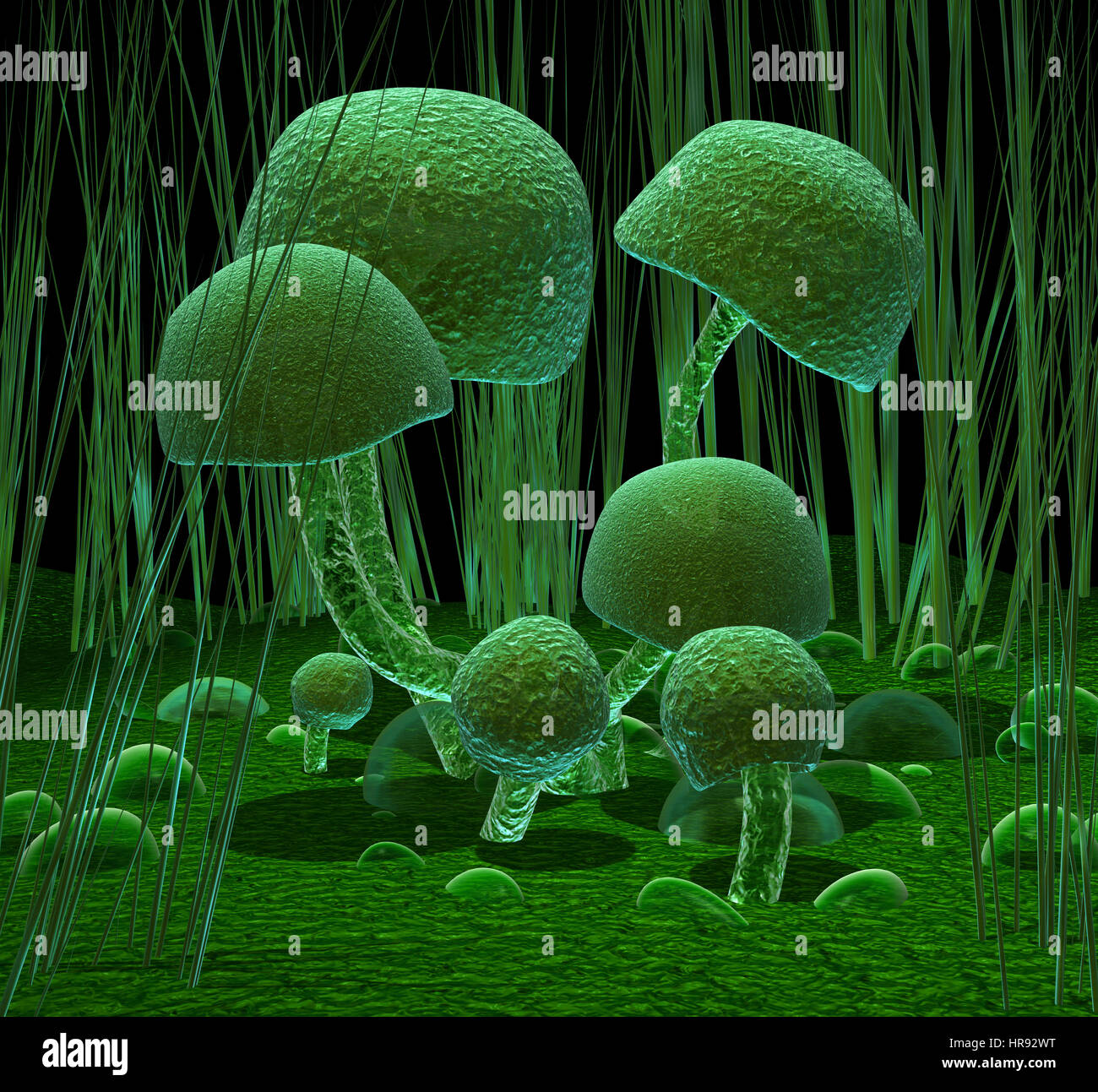 Mushrooms art hi-res stock photography and images - Alamy