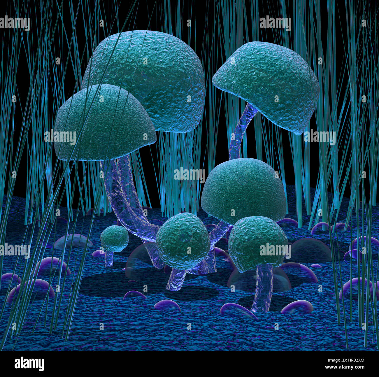 Mushrooms design hi-res stock photography and images - Alamy