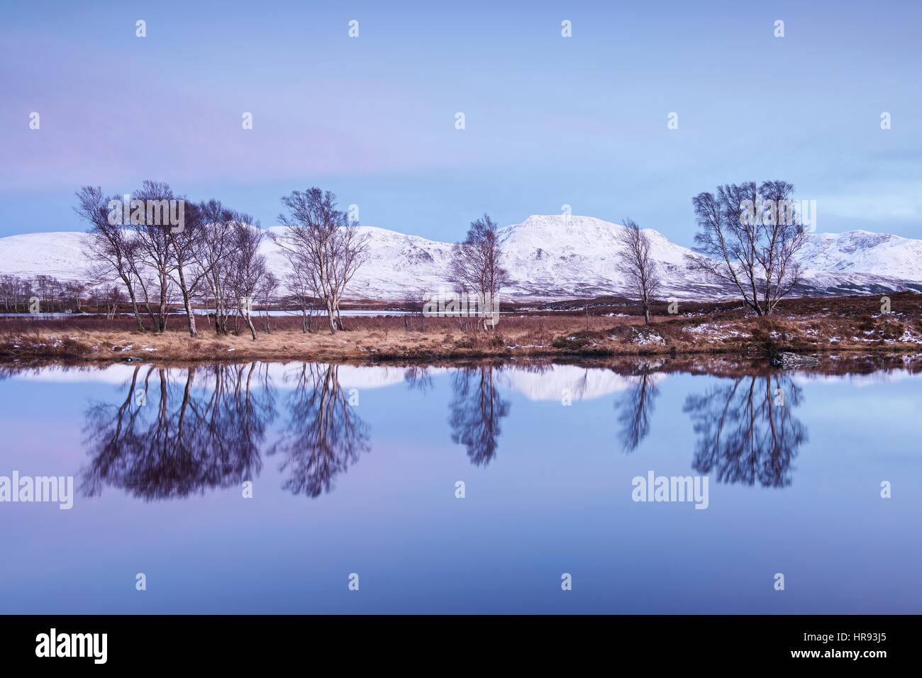 Winter reflections at Loch Ba Stock Photo - Alamy