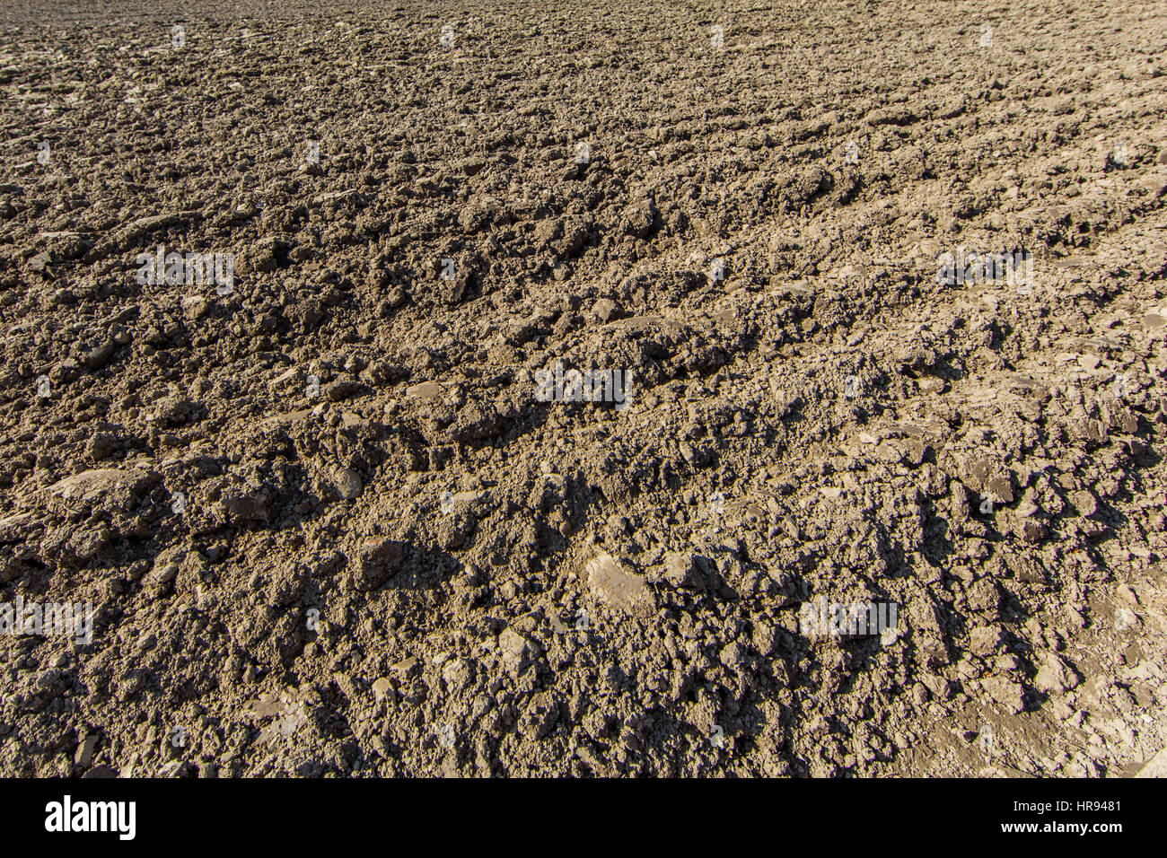 Freshly furrowed brown farmland in sunshine with soil Stock Photo - Alamy