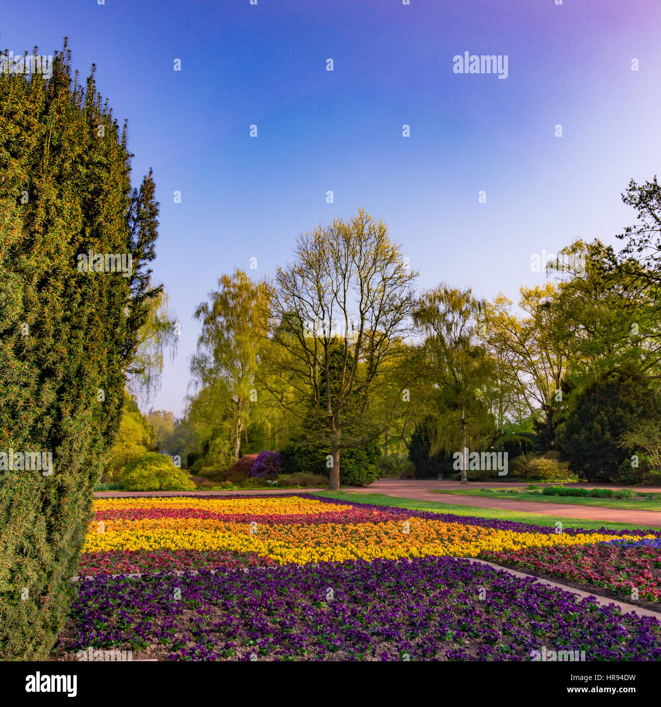Nice park in the city with trees, Spring flowers and grass Stock Photo ...