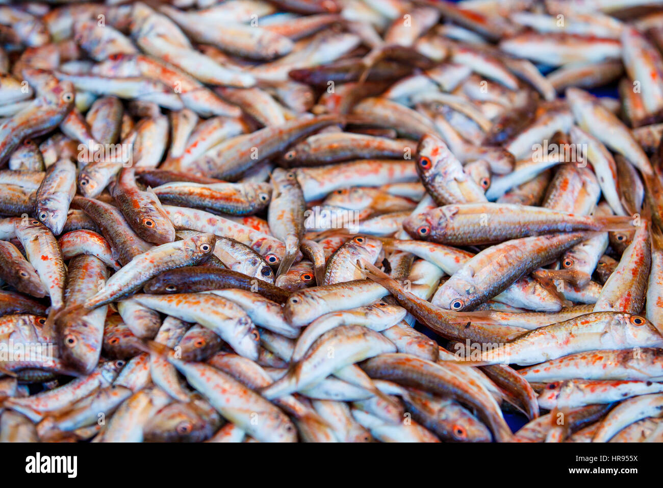 Fresh seafood fish market goatfish hi-res stock photography and images ...