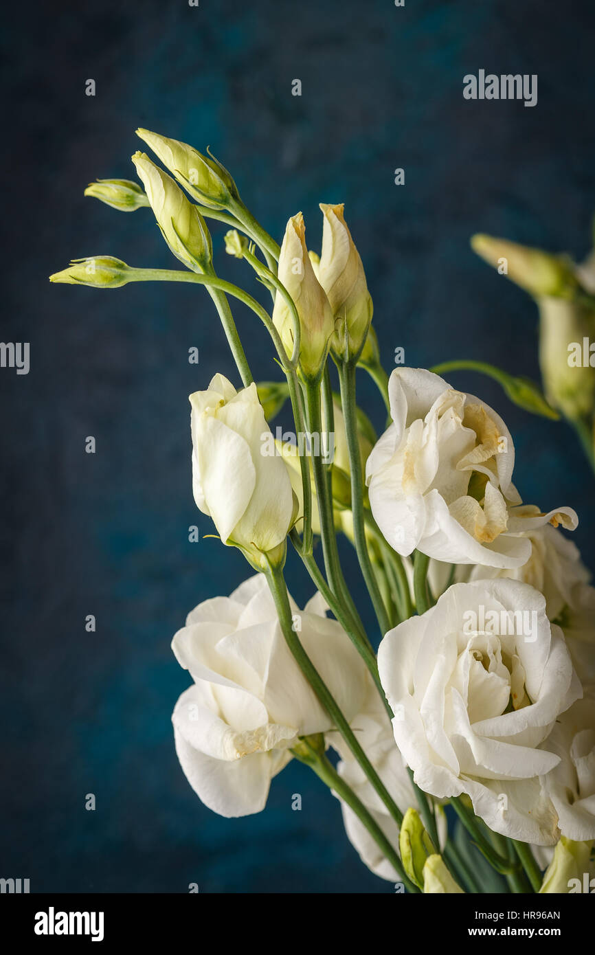 Bouquet white eustoma flowers on hi-res stock photography and images ...