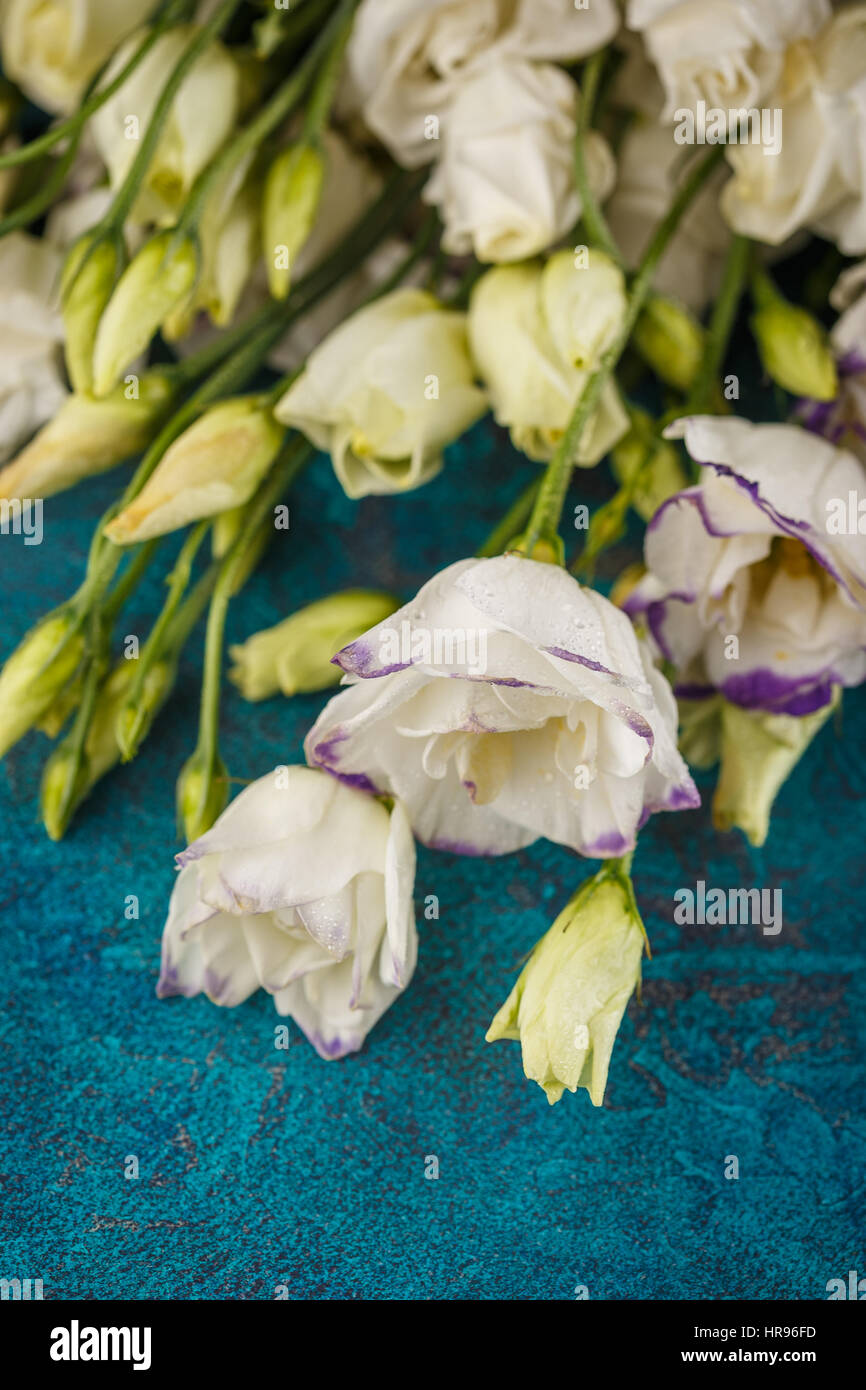 Bouquet of white eustoma flowers on dark blue background Stock Photo ...