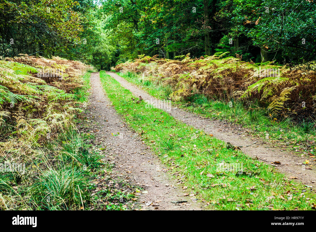 Well maintained trail hi-res stock photography and images - Alamy