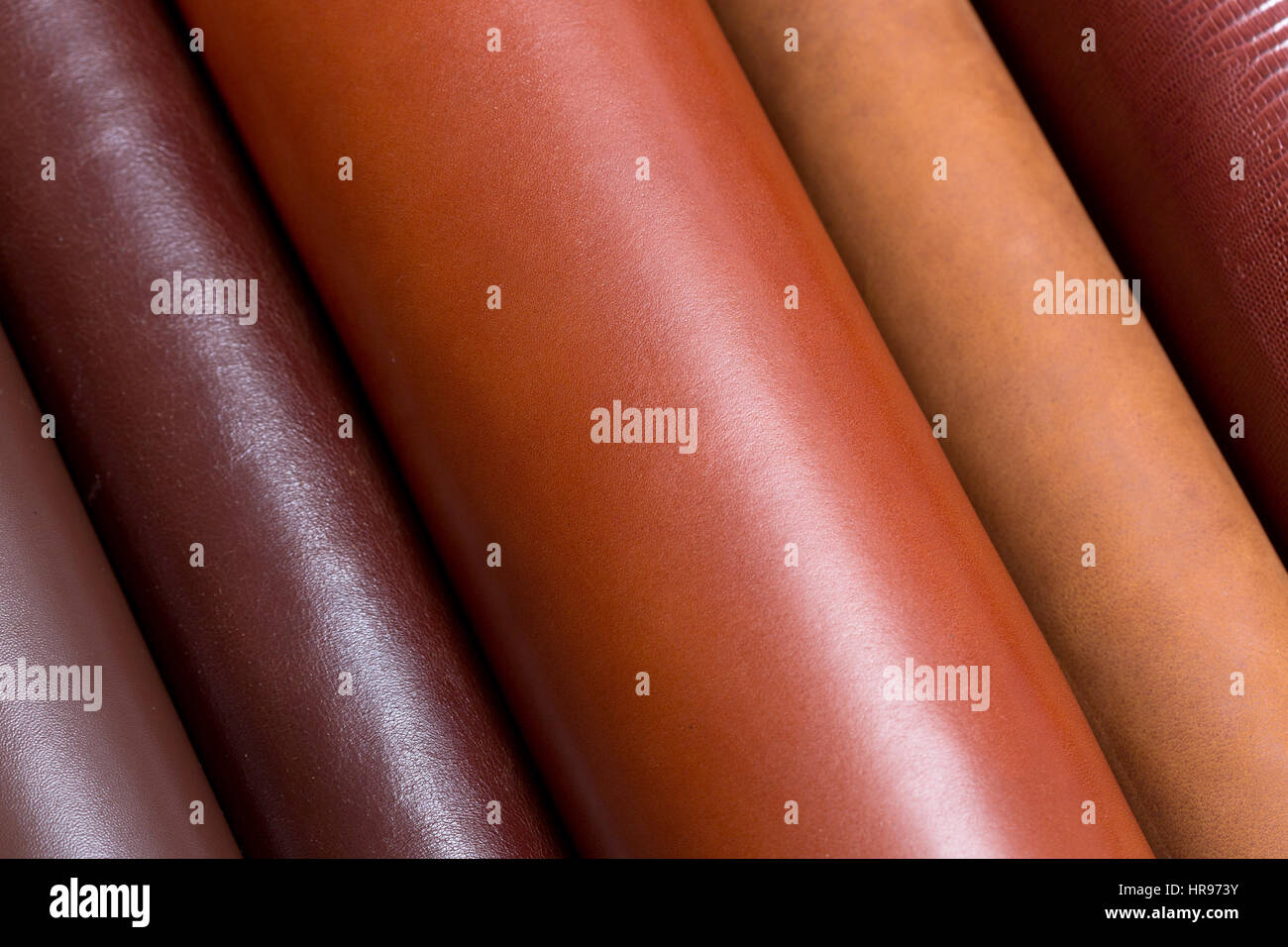 Close up of natural shinny leather samples for fashion industry. High ...