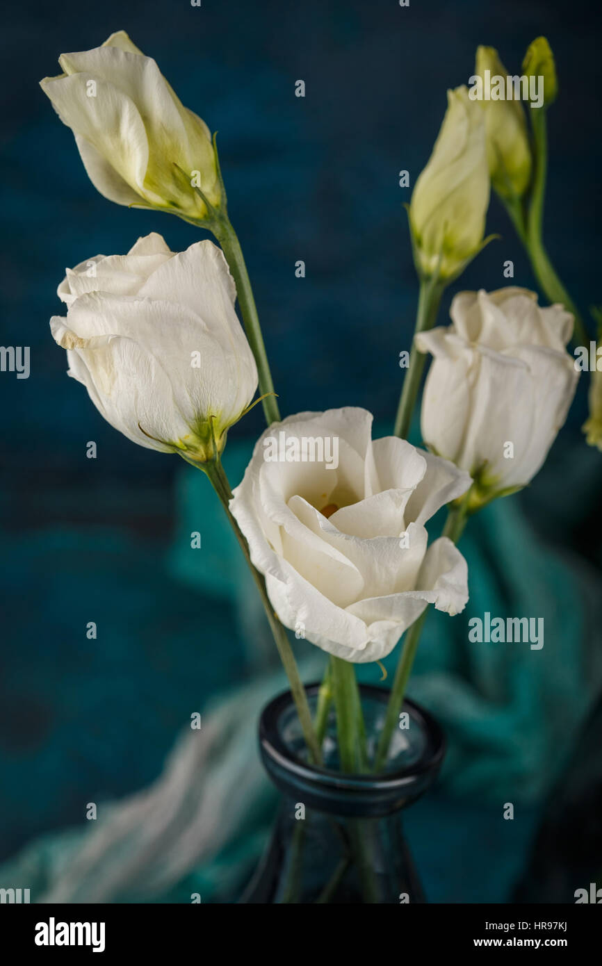 Bouquet of white eustoma flowers on dark blue background Stock Photo ...