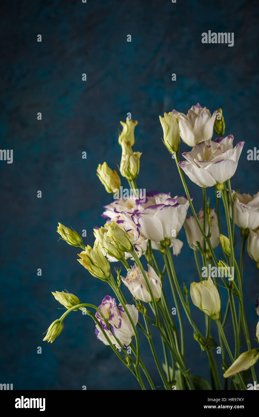 Bouquet of white eustoma flowers on dark blue background Stock Photo ...