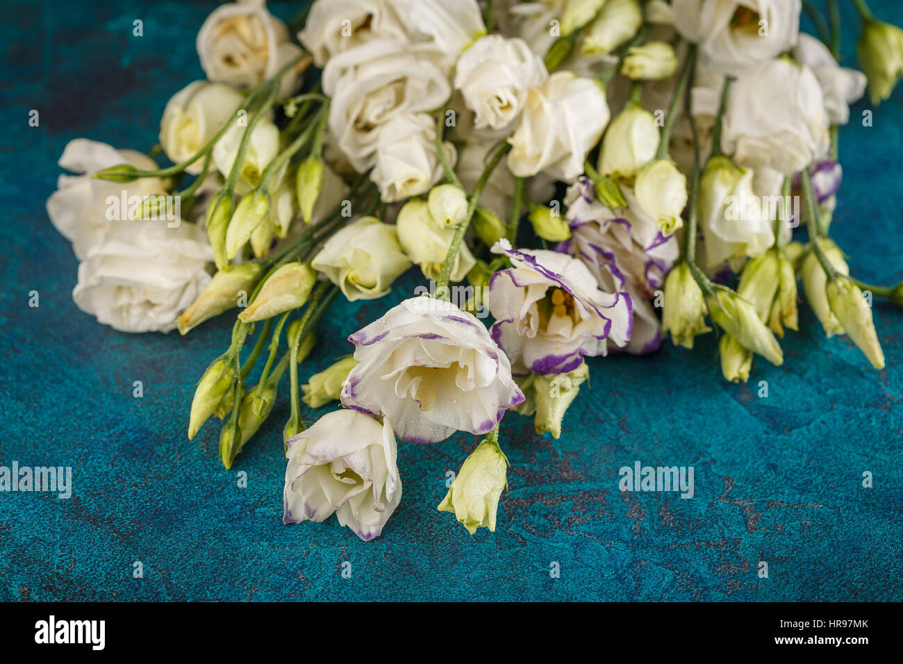 Bouquet of white eustoma flowers on dark blue background Stock Photo ...