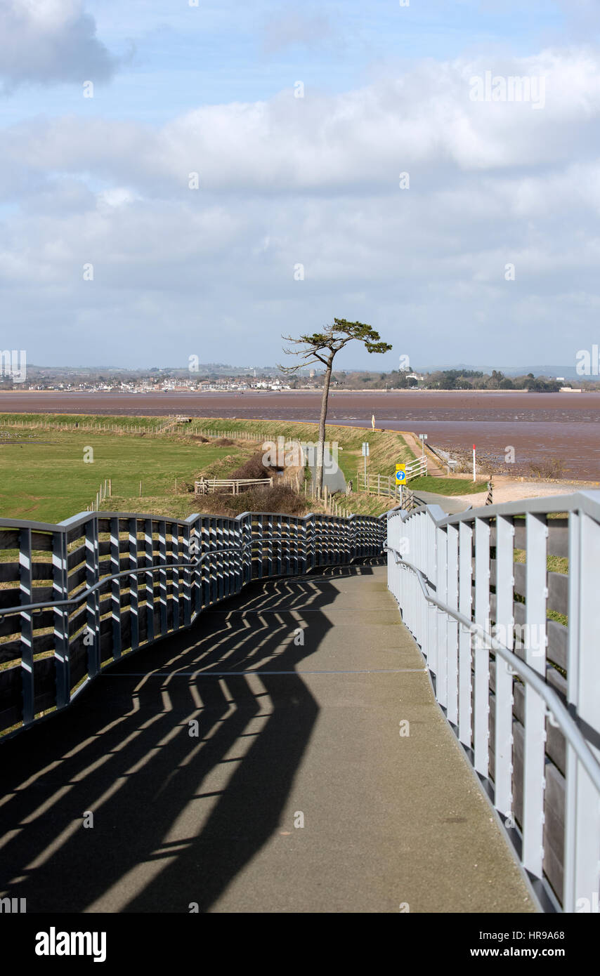 Cycle track and shared pedestrian walkway alongside the River Exe in ...