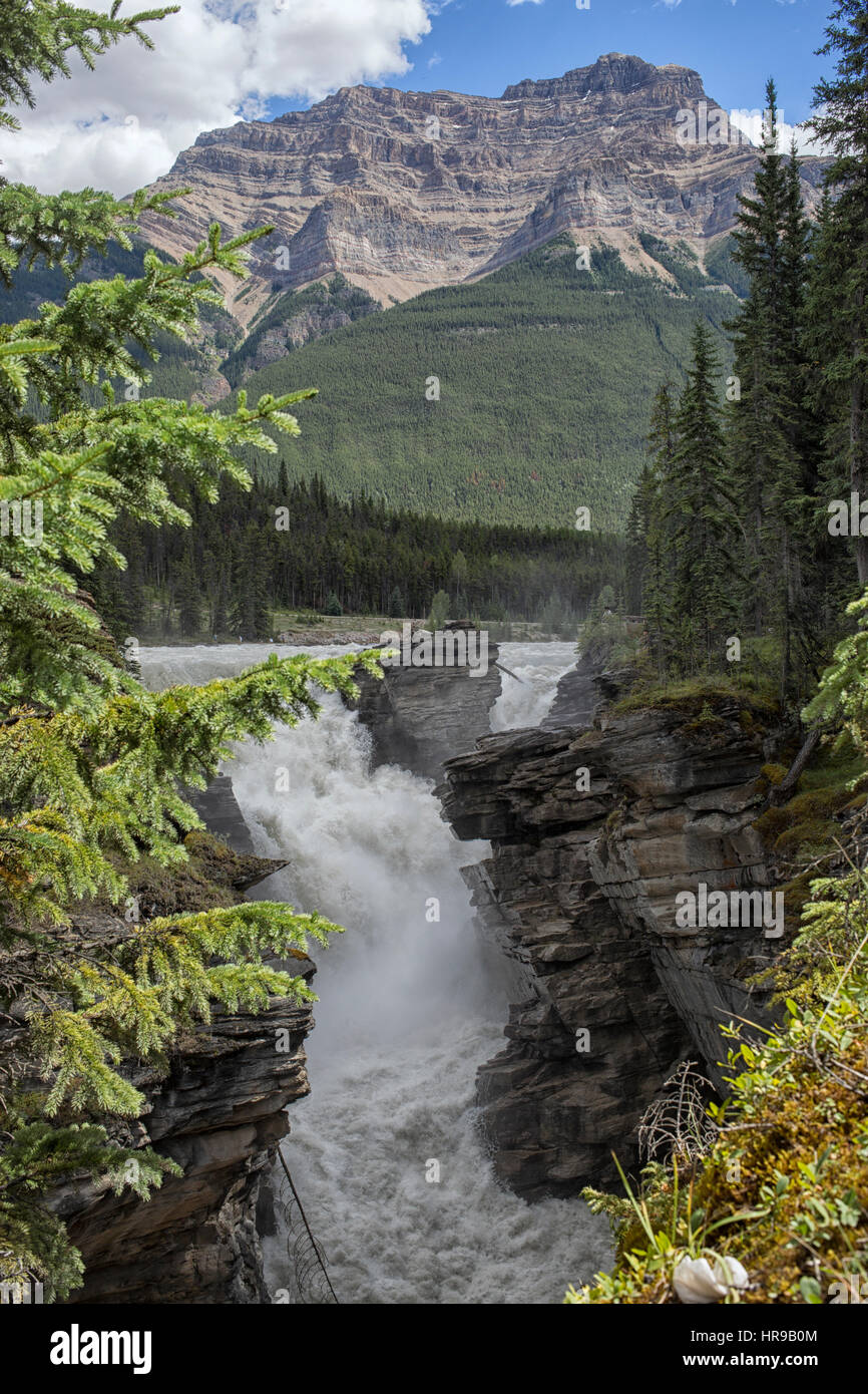 Water falling with power on the rocks of Maligne Canyon in Alberta ...
