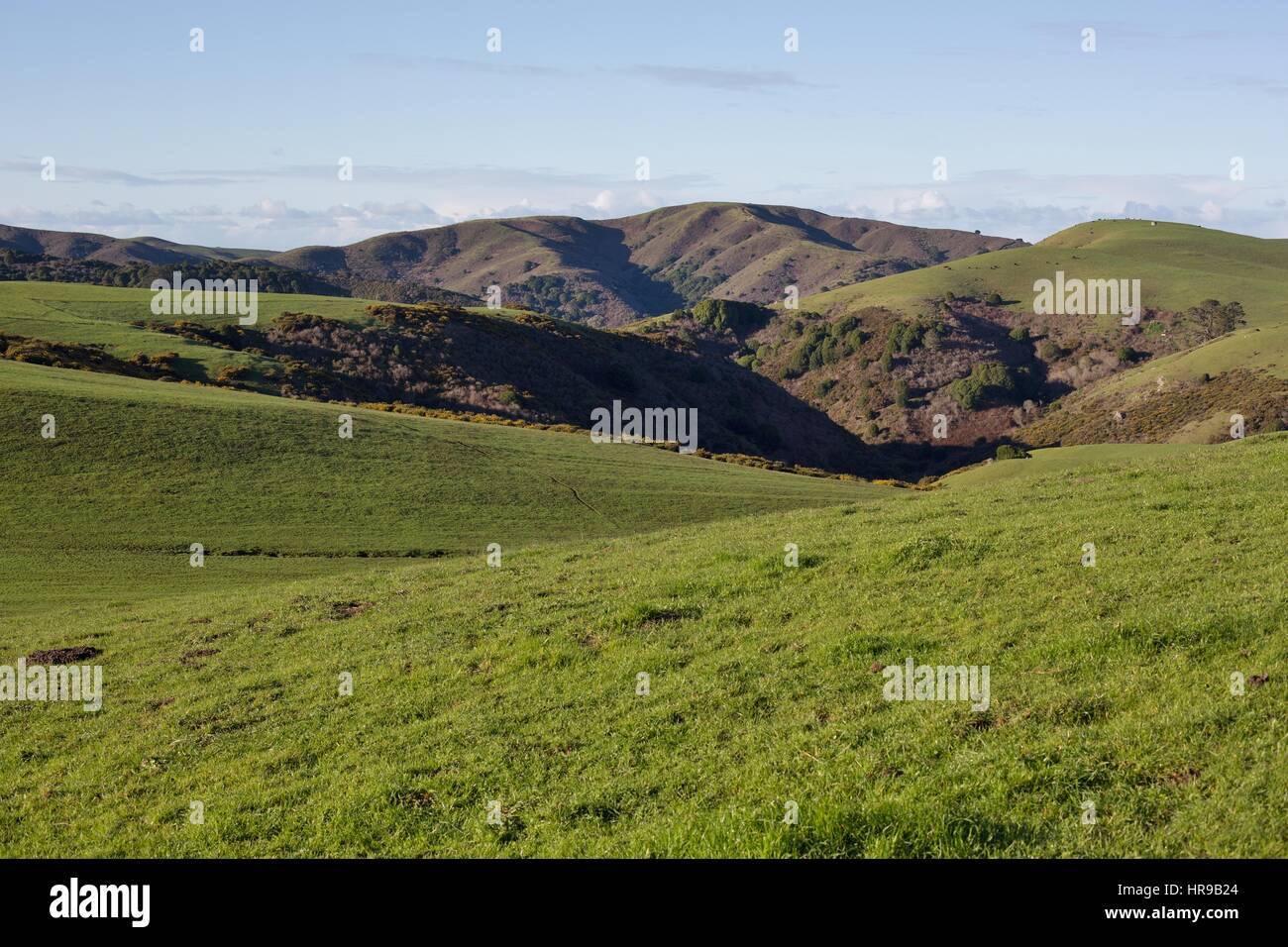 Marin hills hi-res stock photography and images - Alamy