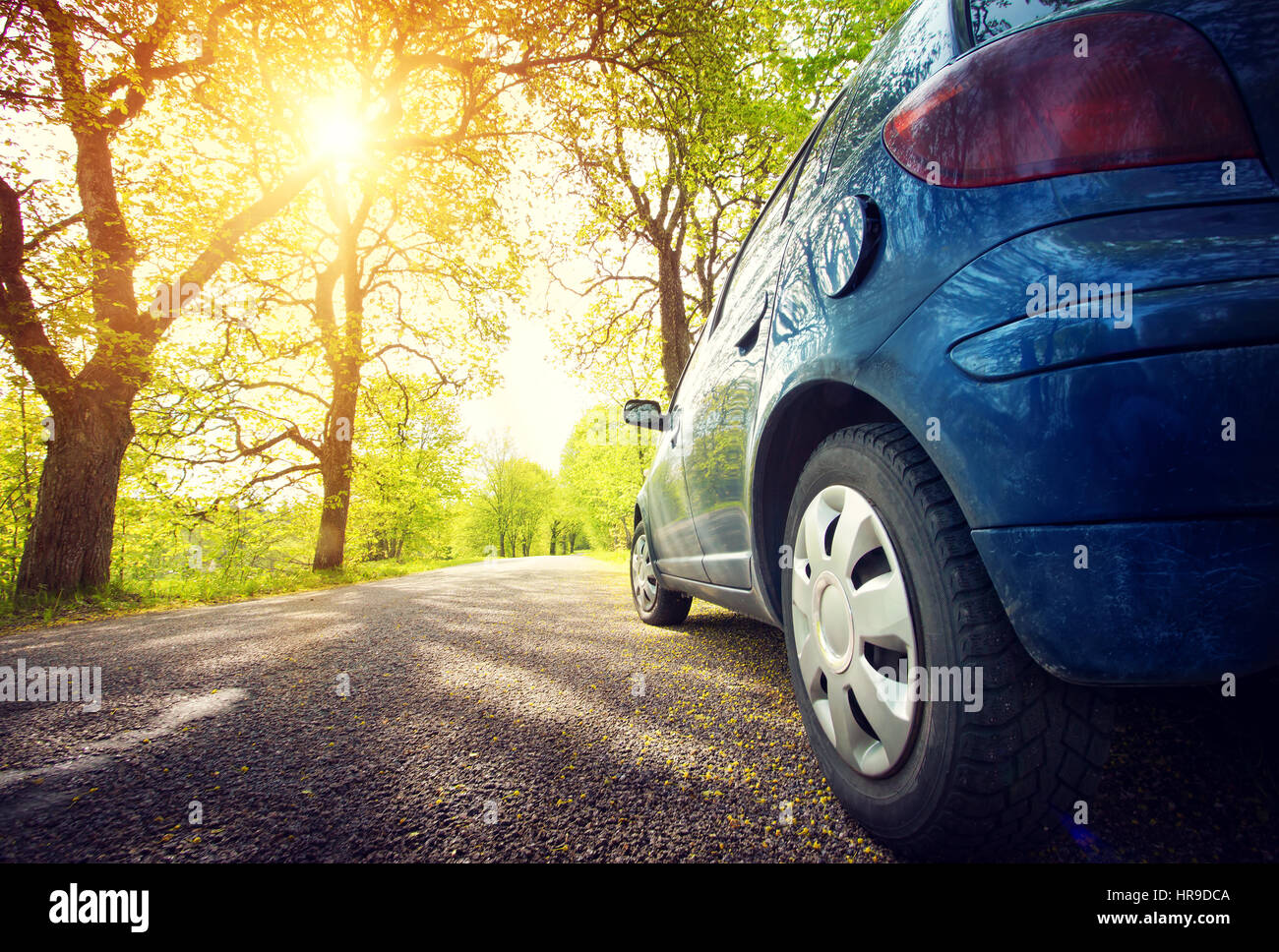 Car on asphalt road in spring Stock Photo - Alamy