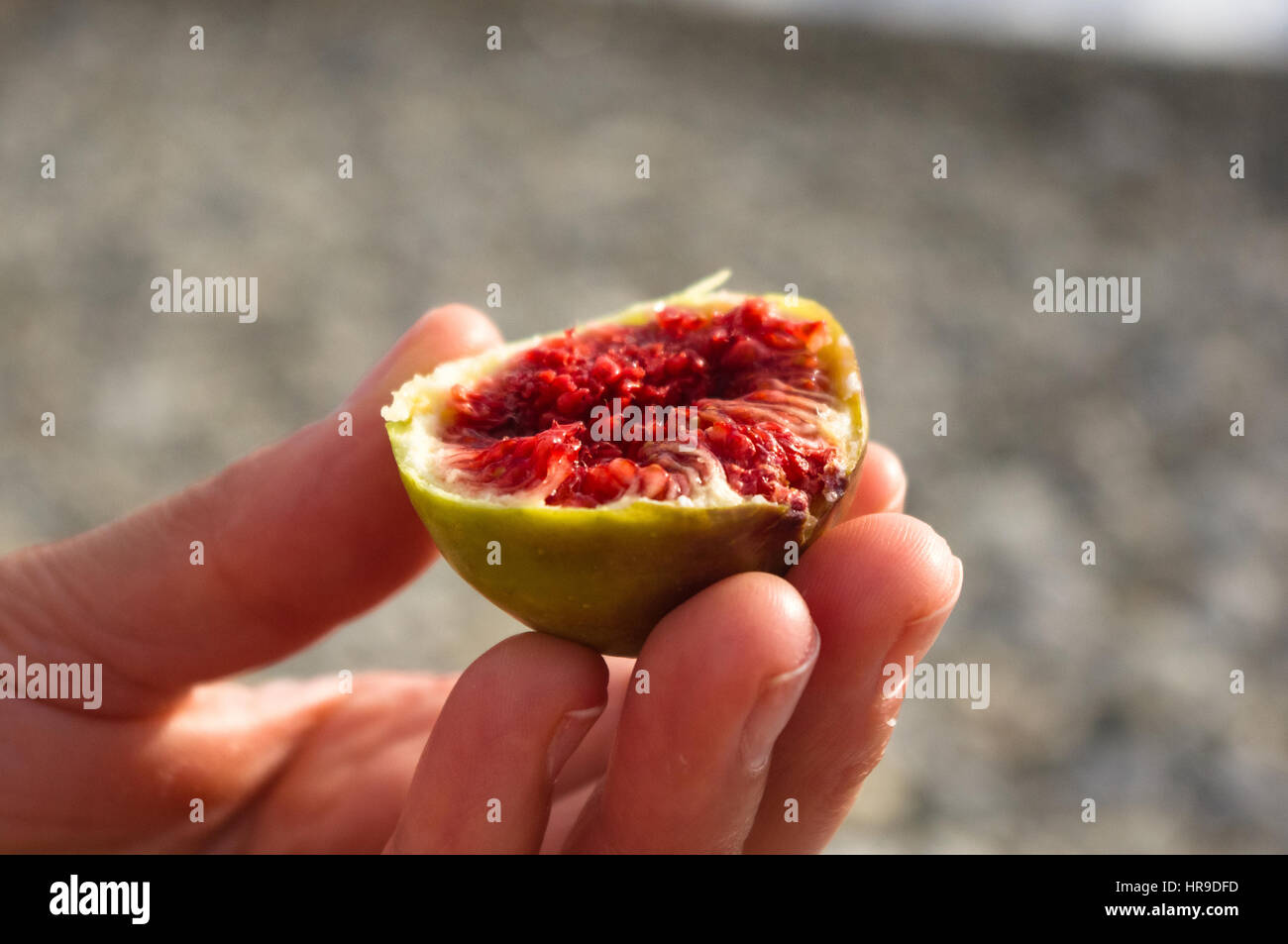 Figs in hand hi-res stock photography and images - Alamy