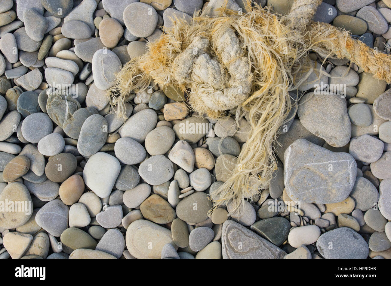 old worn battered marine rope on the pebble beach on a Sunny summer day ...