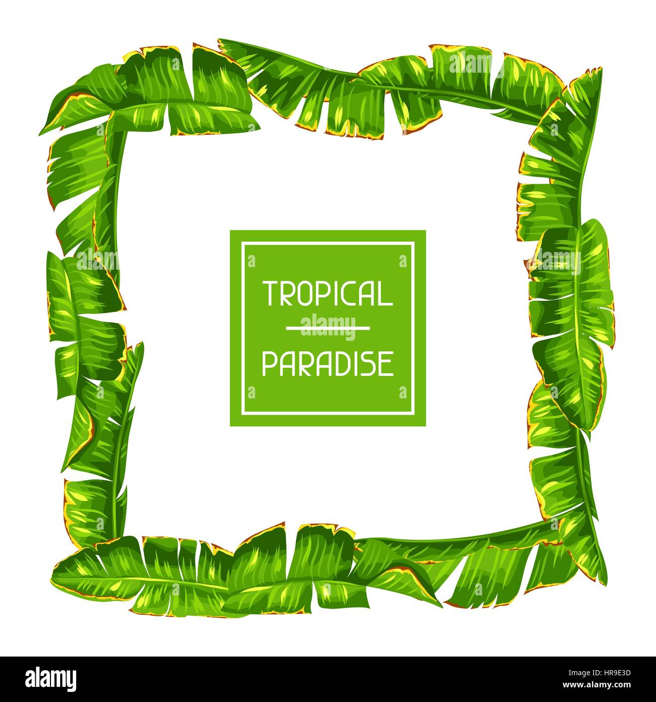 Tropical jungle nature rainforest Cut Out Stock Images & Pictures - Alamy