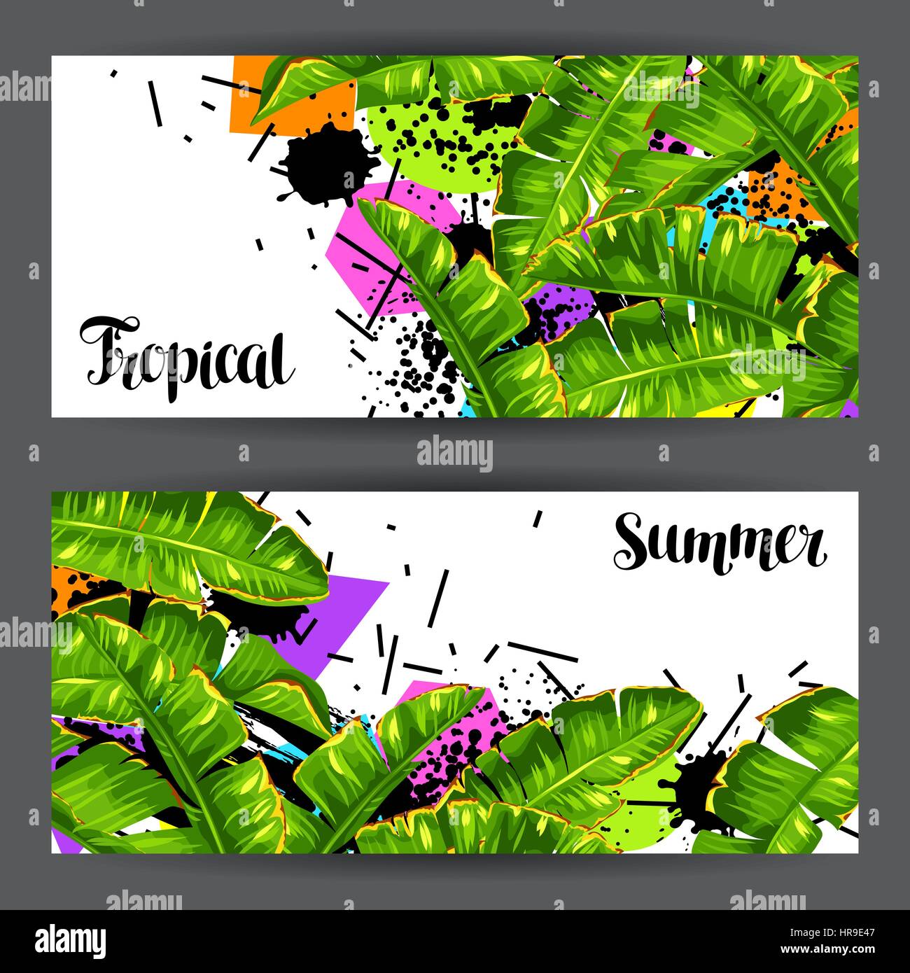 Banana palm leaves hi-res stock photography and images - Alamy