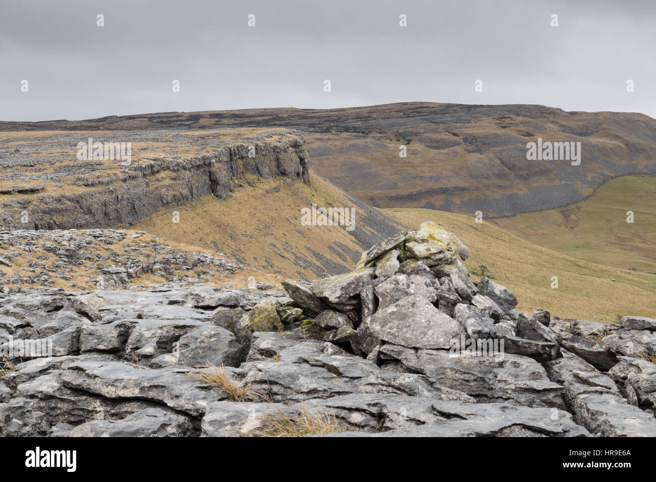 Scars High Resolution Stock Photography and Images - Alamy