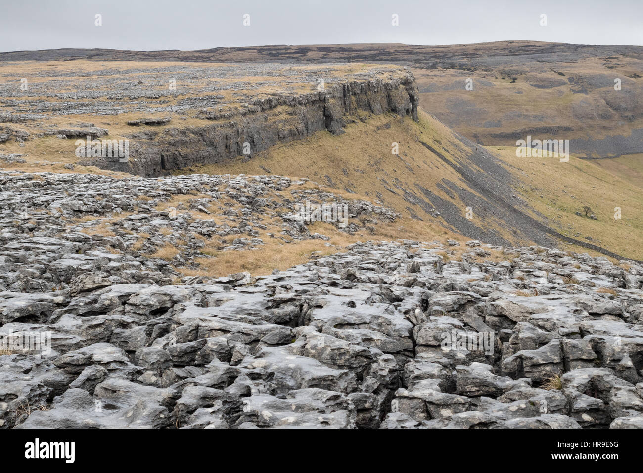 Scars High Resolution Stock Photography and Images - Alamy