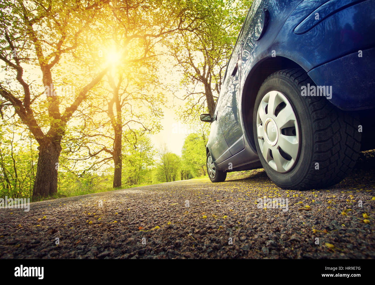 Car on asphalt road in spring Stock Photo - Alamy