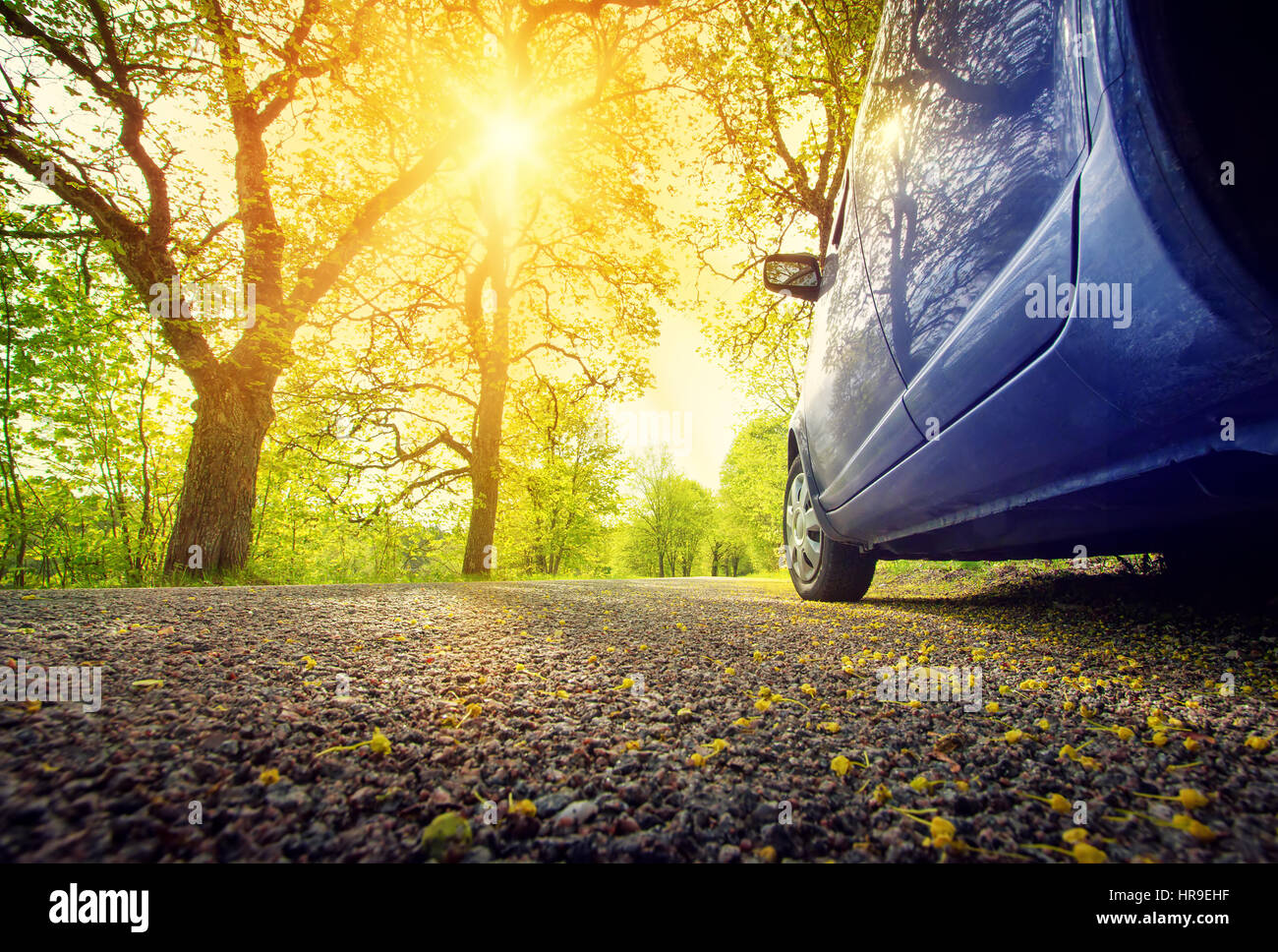 Car on asphalt road in spring Stock Photo - Alamy