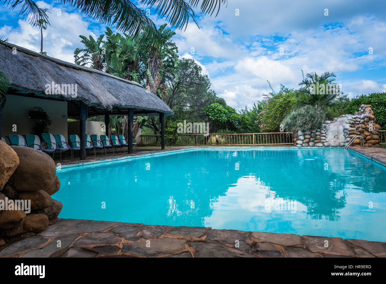 tropical swimming pool with palm trees in lodge south africa in ...
