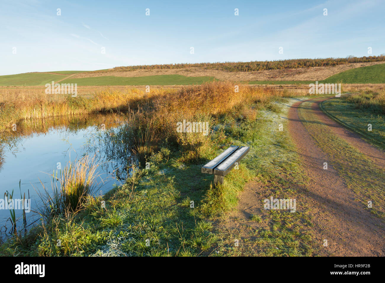 View of path, reedbed habitat and frosted bench, on site of former ...