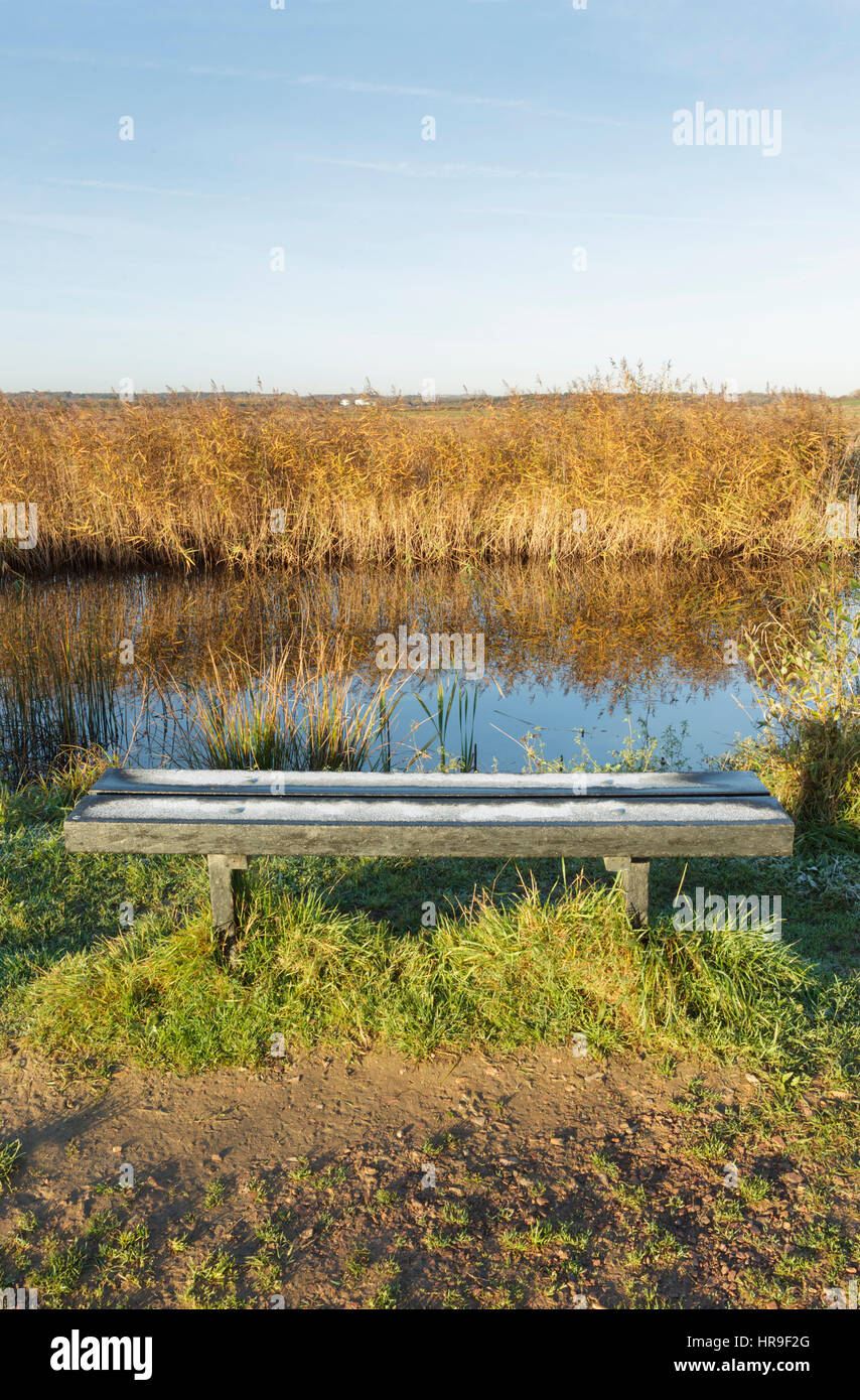 Former marshland hi-res stock photography and images - Alamy
