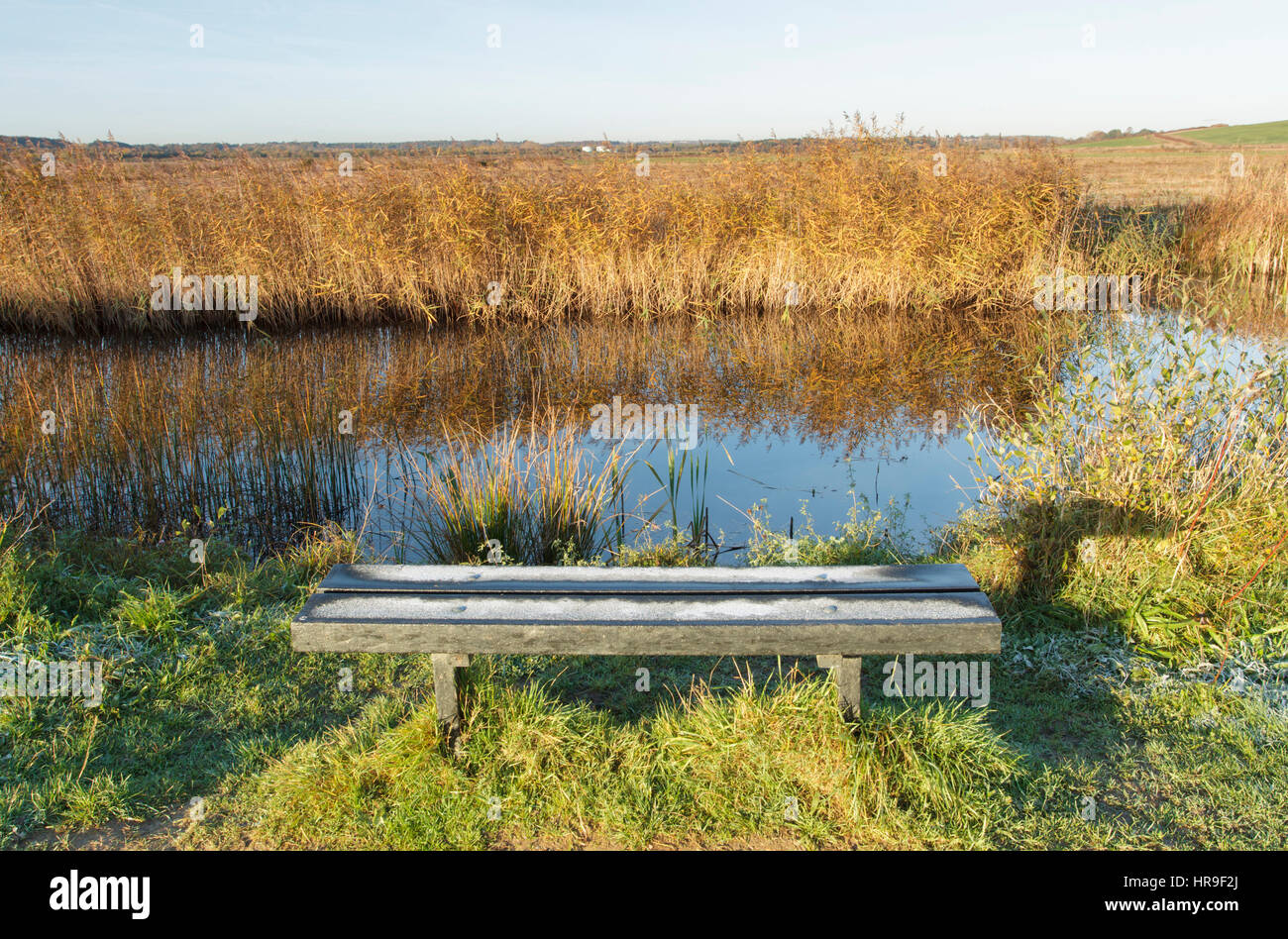 Frosted wooden bench at edge of pool, on site of former opencast coal ...