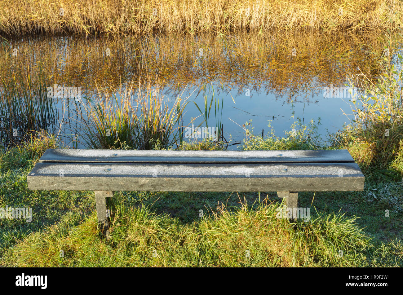 Frosted wooden bench at edge of pool with reflections, on site of ...