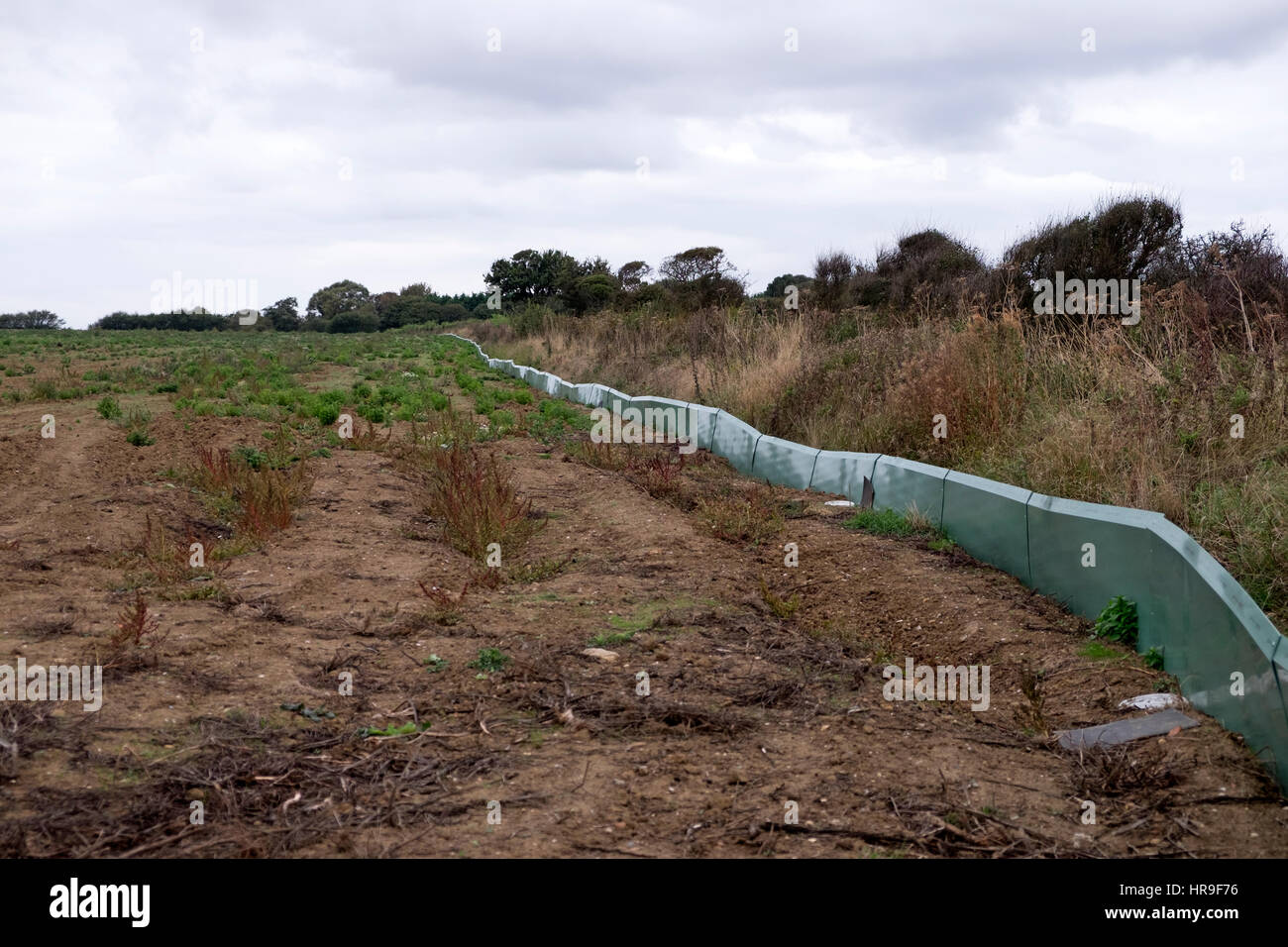 A low level fence to allow wild animals to be counted before work can ...