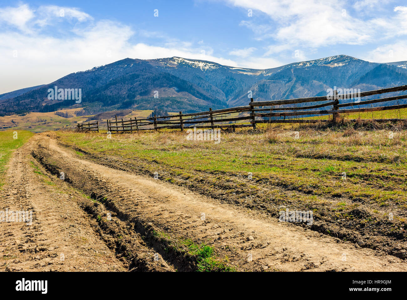 Spring time rural landscape. Wooden fence along the path through ...