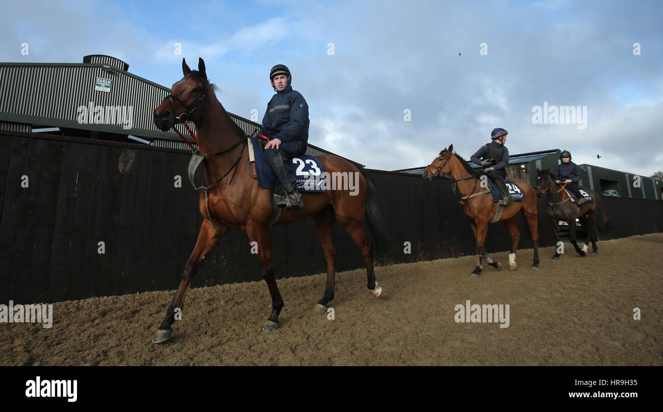(From left to right) Outlander, Mega Fortune and Tell us More during ...