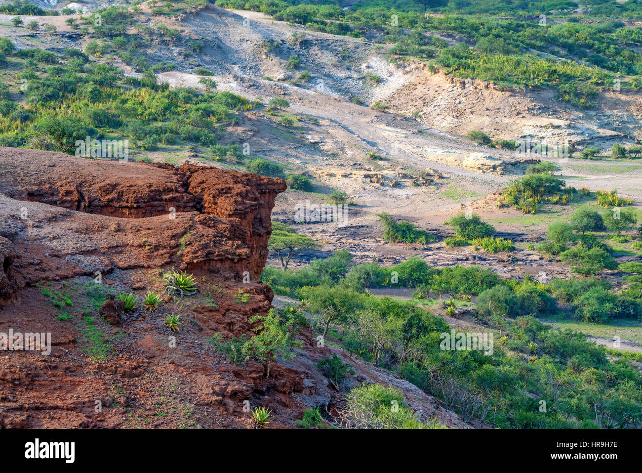 Olduvai gorge hi-res stock photography and images - Alamy