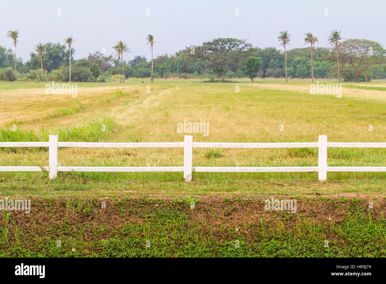 White fence in the green grass field Stock Photo - Alamy