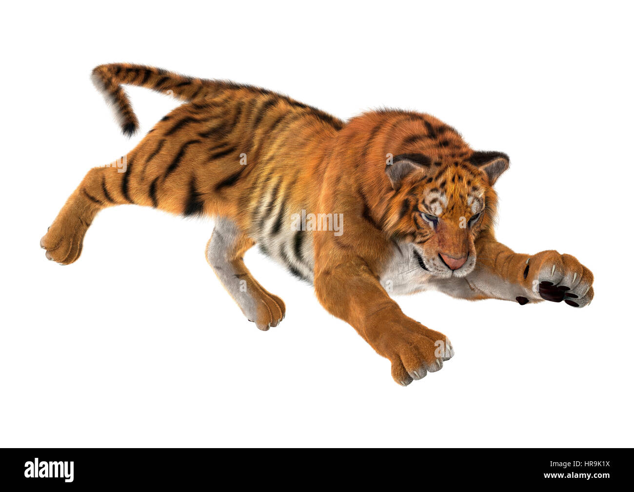 3D rendering of a big cat tiger isolated on white background Stock ...