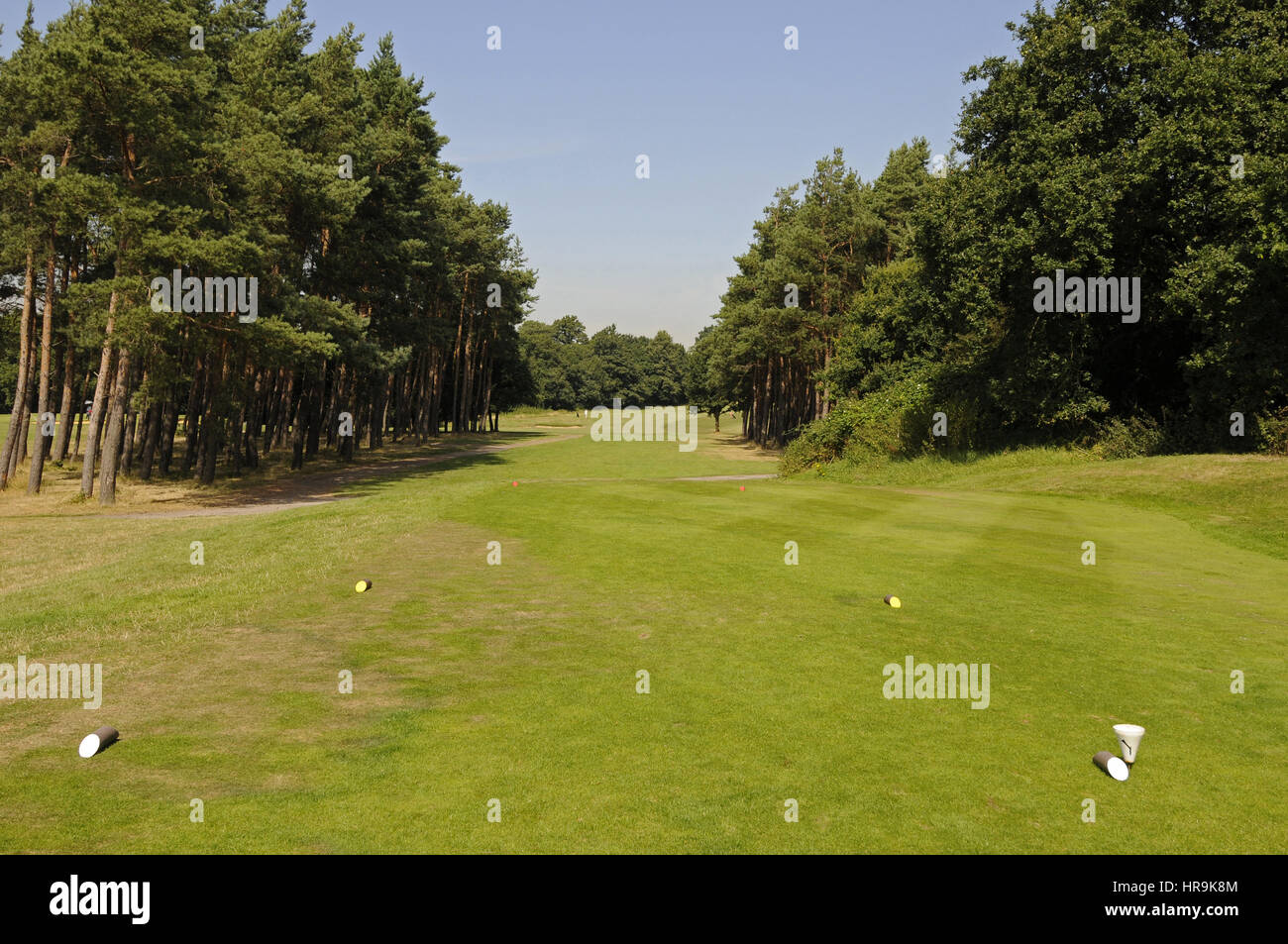 Leatherhead golf club hi-res stock photography and images - Alamy