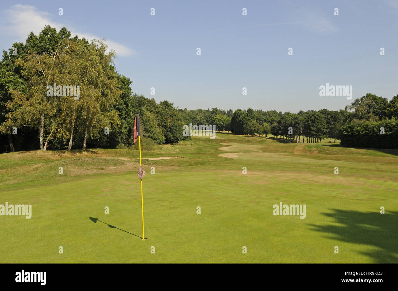Leatherhead golf club hi-res stock photography and images - Alamy
