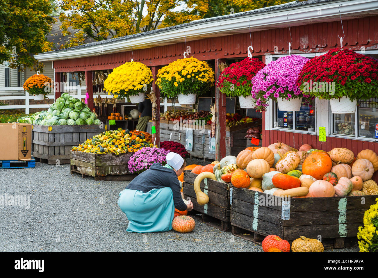 Outdoor farm market hi-res stock photography and images - Alamy