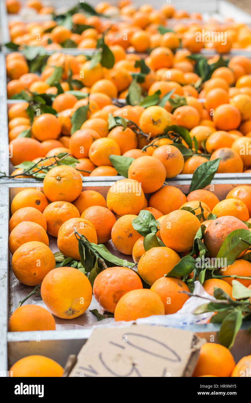 Oranges field hi-res stock photography and images - Alamy