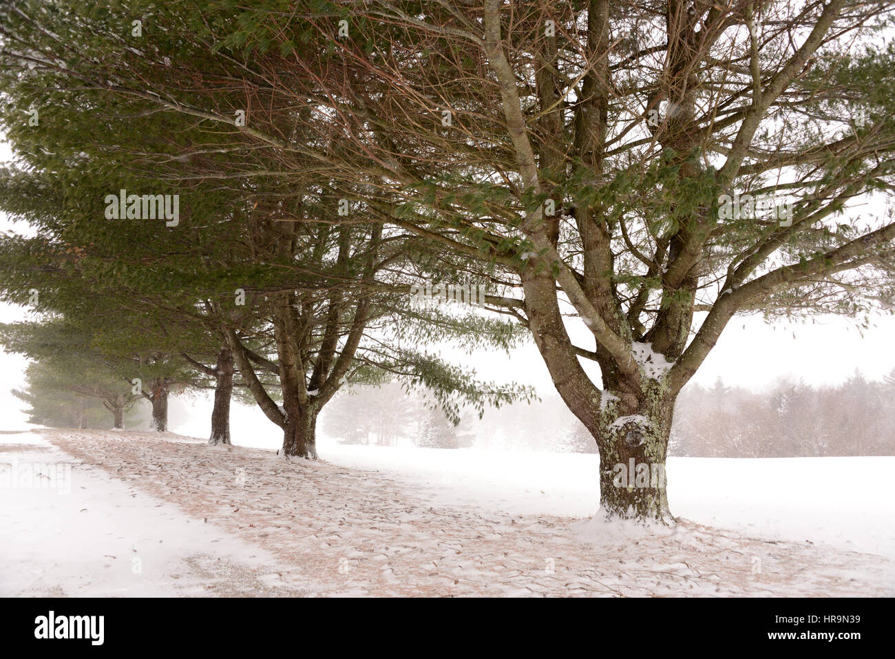 New england winter scenes hi-res stock photography and images - Alamy