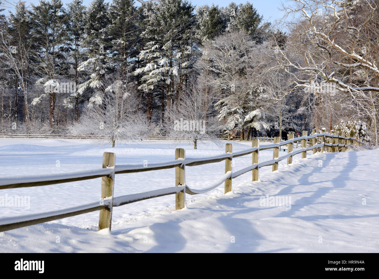 snow covered golf course with a snow covered fence Stock Photo - Alamy