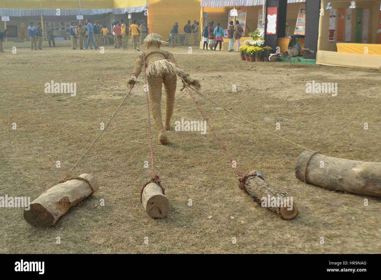 India rice straw hi-res stock photography and images - Alamy