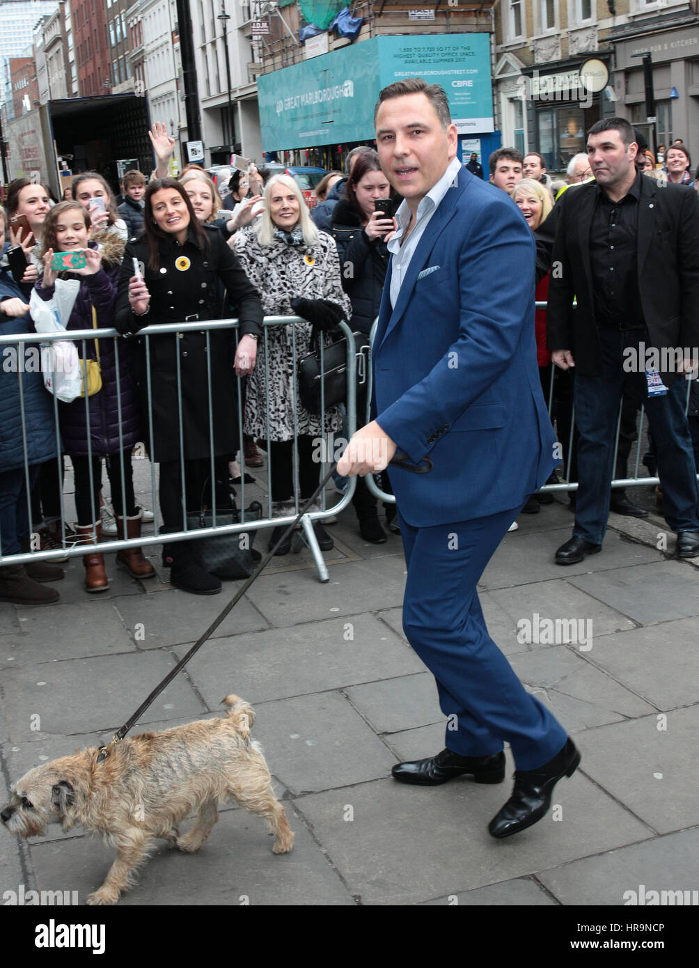 David walliams dog hi-res stock photography and images - Alamy