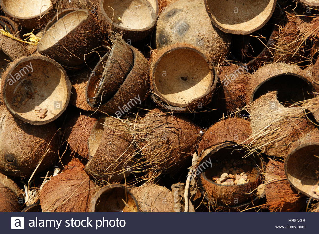 Coconut Shells India High Resolution Stock Photography and Images - Alamy