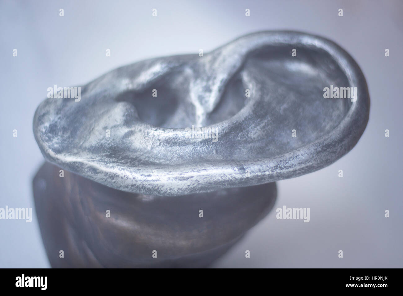 Human ear Audiologist medical model cast used for Audiologists to ...