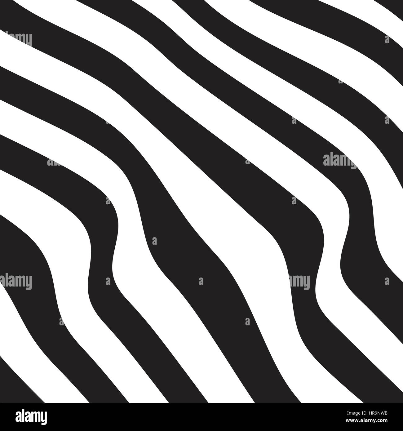 Striped abstract background. black and white zebra print. Vector ...